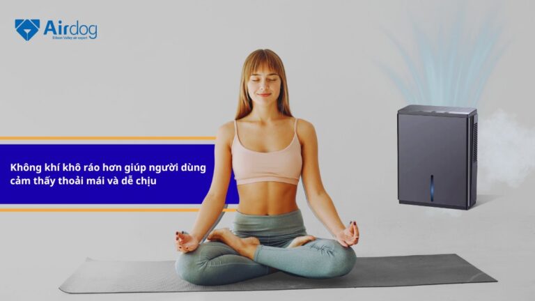 Máy hút ẩm mini Airdog BW401 - Giải pháp chống ẩm nhỏ gọn